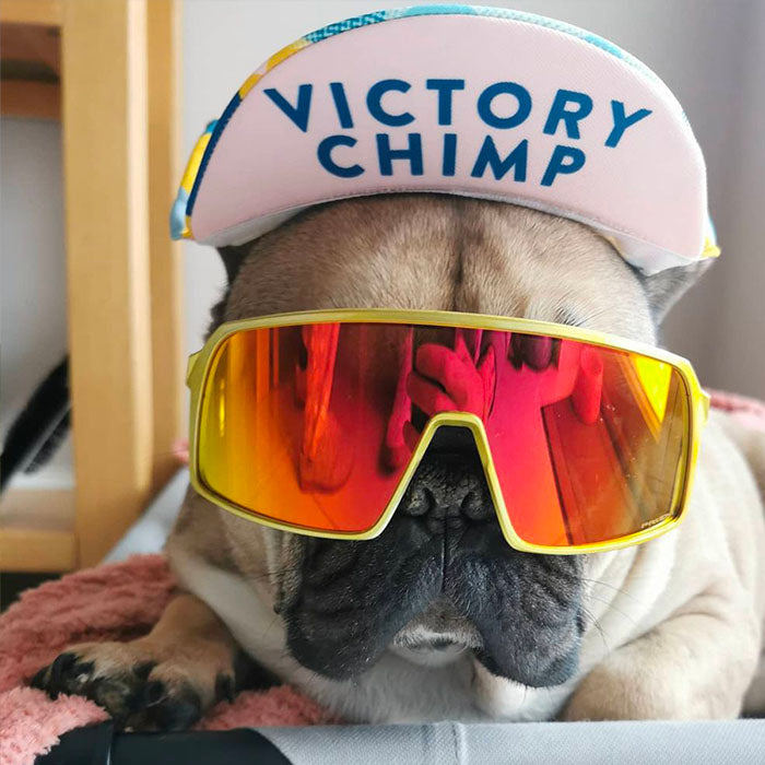 Victory Chimp - Cycling Clothing To Make You Smile